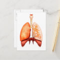 Anatomy Of Human Respiratory System, Front View Postcard | Zazzle
