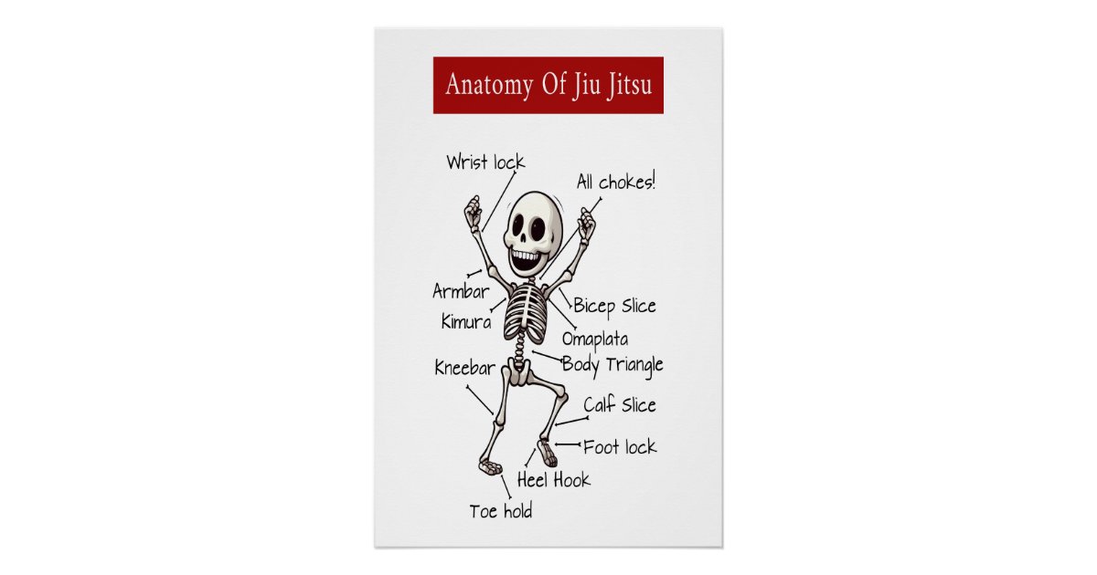 Anatomy Of Jiu Jitsu BJJ Skeleton Submissions Gym Poster | Zazzle
