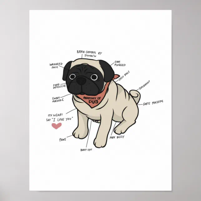 Anatomy Of Pug Dog Chart | Zazzle