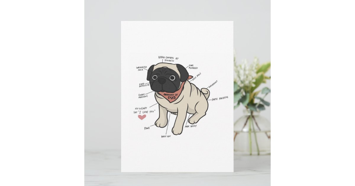 Anatomy Of Pug Dog Chart Menu | Zazzle