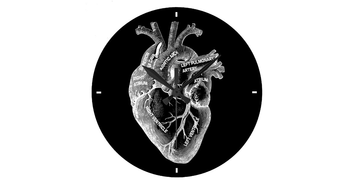 Anatomy of the Heart Large Clock | Zazzle.com