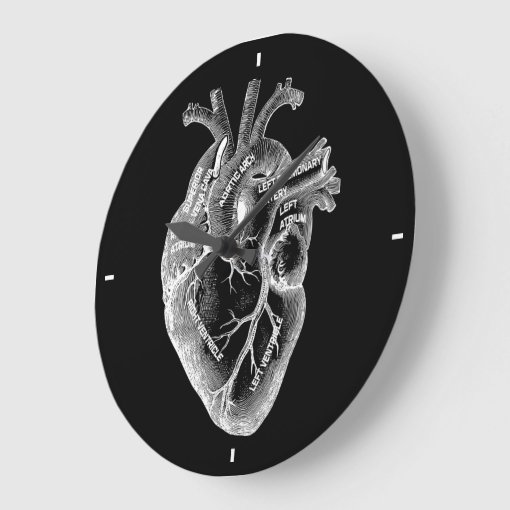 Anatomy of the Heart Large Clock | Zazzle