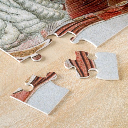 Anatomy of the Human Body Jigsaw Puzzle | Zazzle