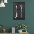 Anatomy of the Spinal Column Physical Therapy Art Poster | Zazzle