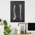 Anatomy of the Spinal Column Physical Therapy Art Poster | Zazzle