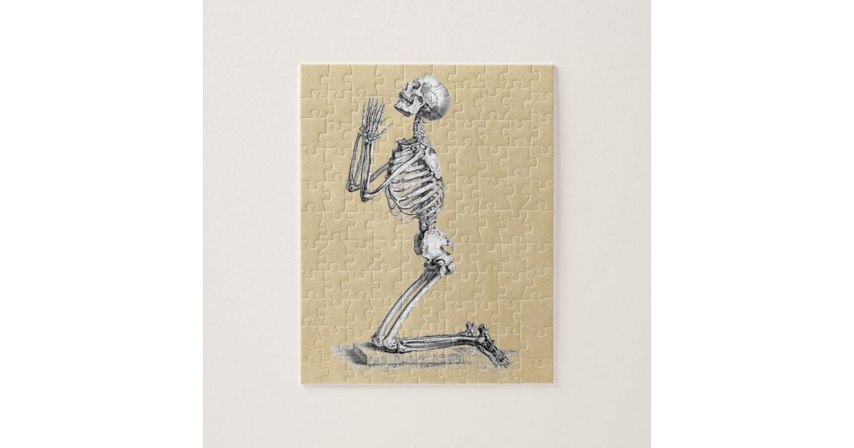 Anatomy Skeleton Illustration Jigsaw Puzzle | Zazzle