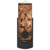 Ancient World Traveler - Map & Compass Rose Flash Drive | Zazzle