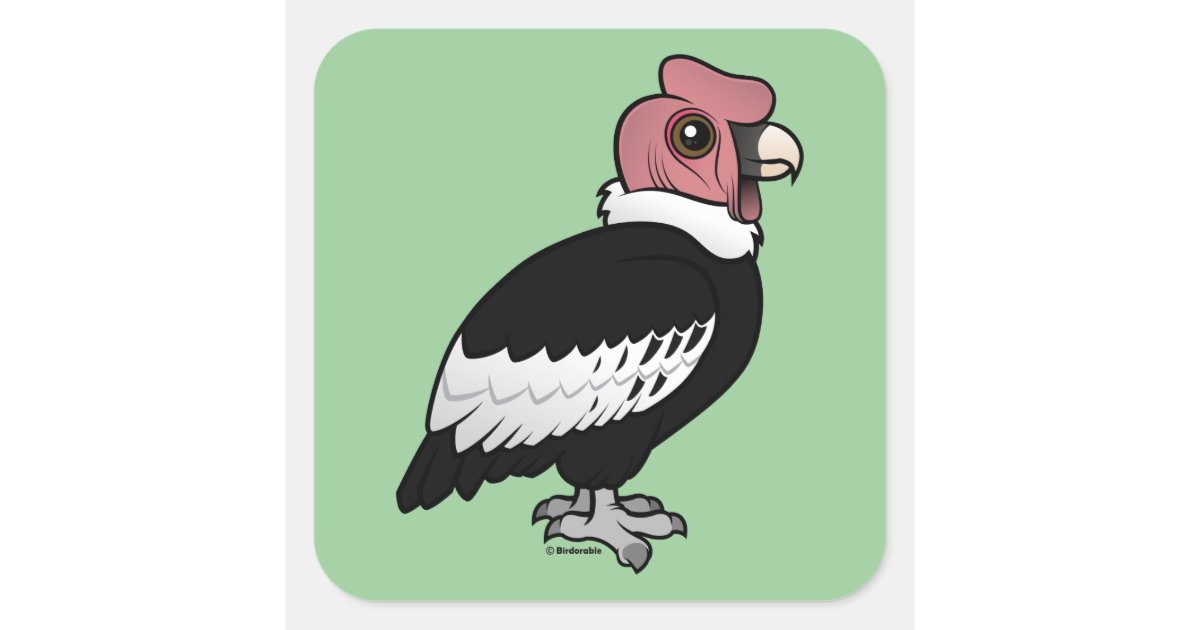 Andean Condor Square Sticker | Zazzle
