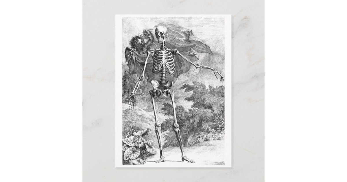 Angel covering a standing skeleton postcard | Zazzle