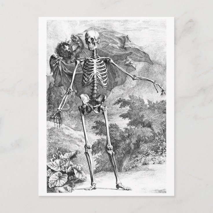 Angel covering a standing skeleton postcard | Zazzle