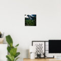 Angel Falls Poster | Zazzle