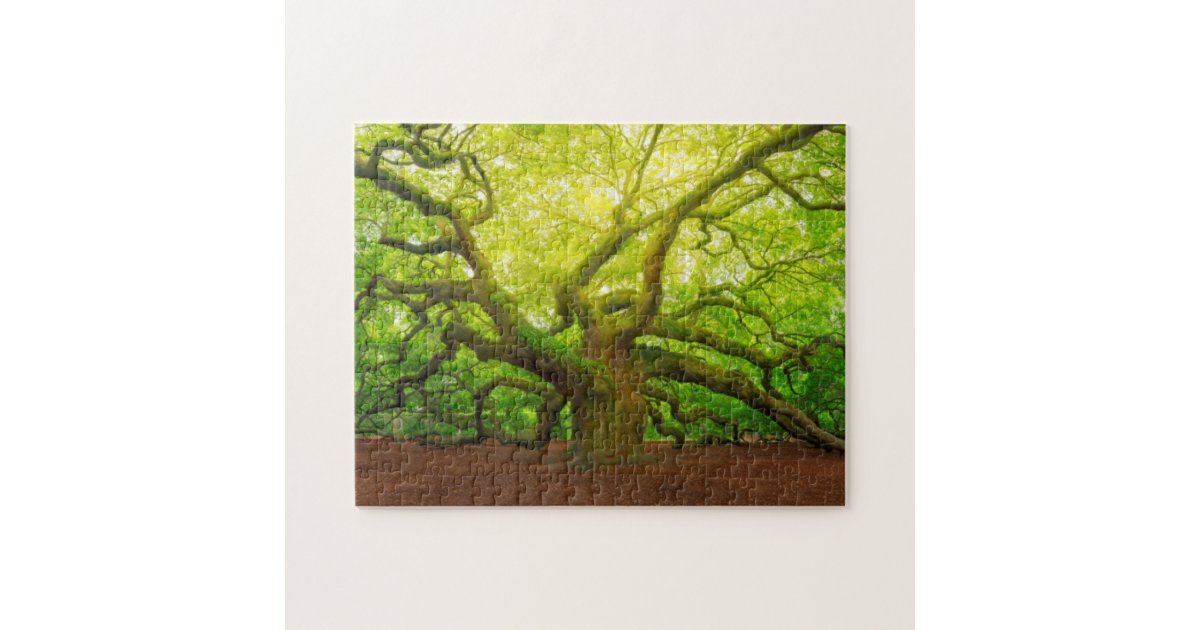 Angel Oak Jigsaw Puzzle | Zazzle