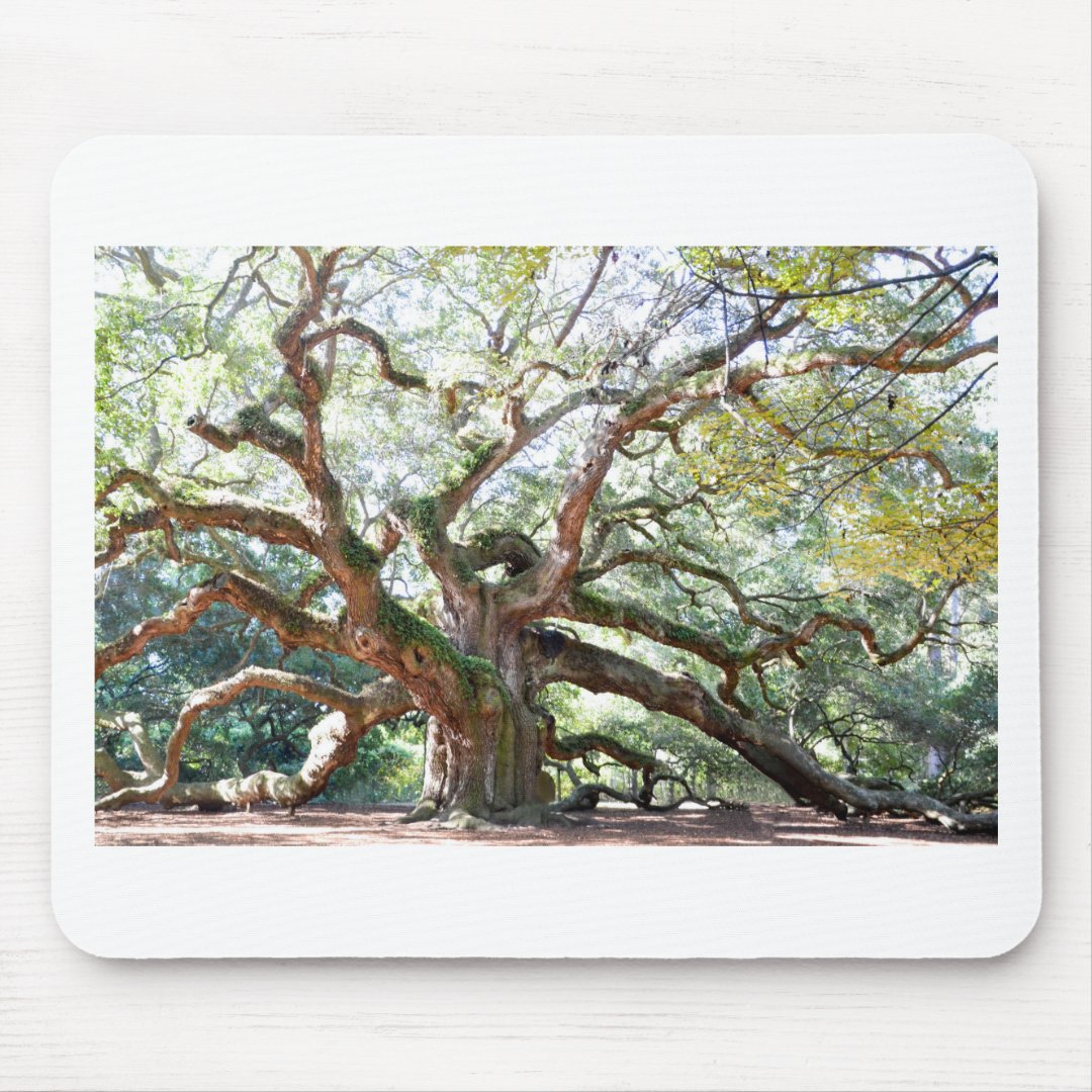 Angel Oak Tree Gifts Mouse Pad | Zazzle