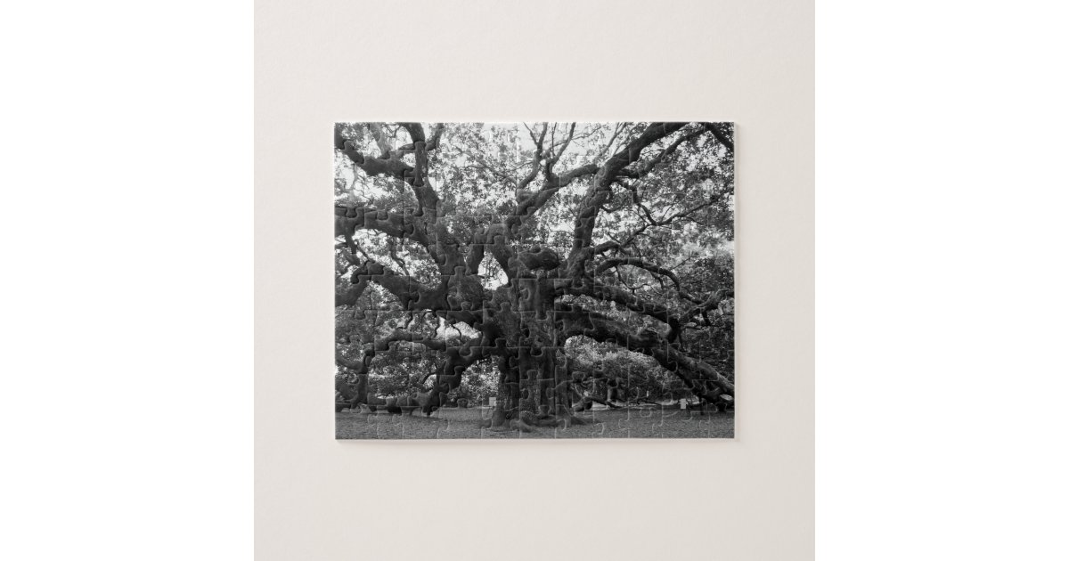 Angel Oak Tree Puzzle | Zazzle