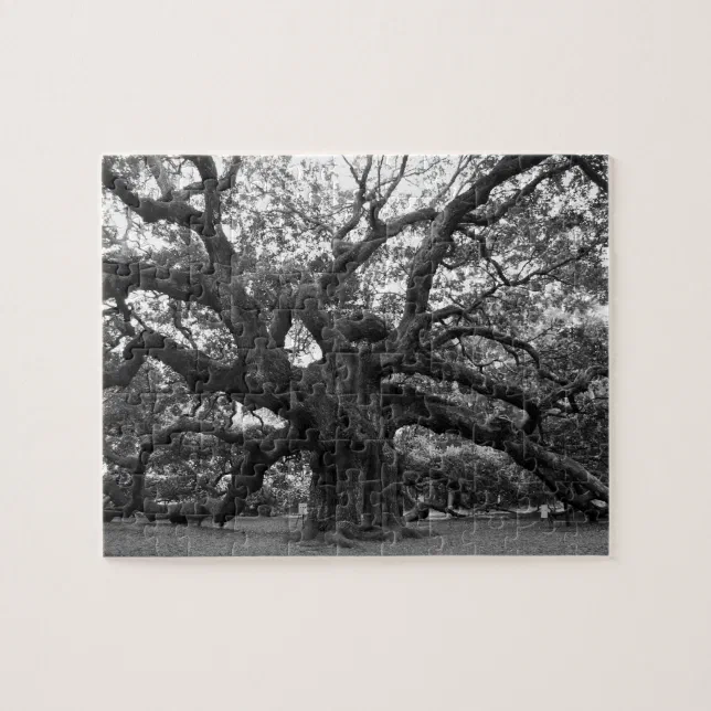 Angel Oak Tree Puzzle | Zazzle