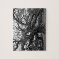 Angel Oak Tree Puzzle | Zazzle