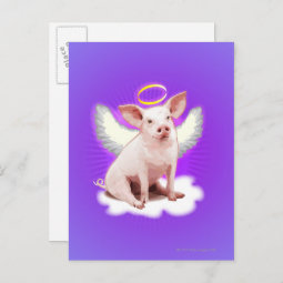 Angel Pig Postcard | Zazzle