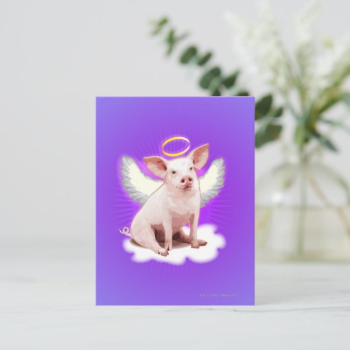 Angel Pig Postcard | Zazzle