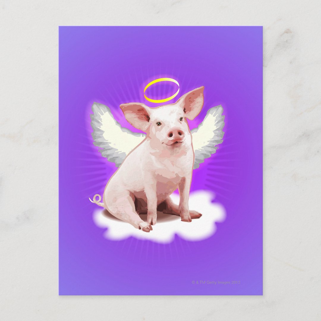 Angel Pig Postcard | Zazzle