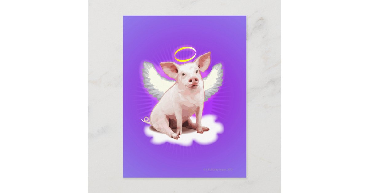 Angel Pig Postcard | Zazzle
