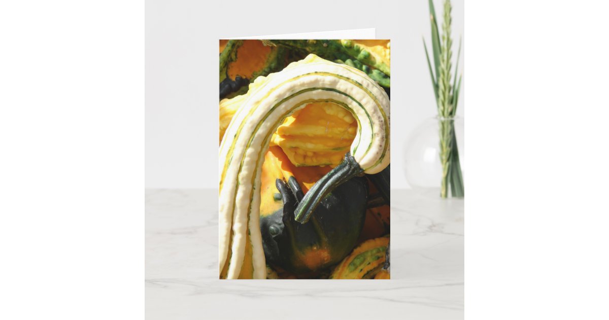 Angel Wing Gourd Card | Zazzle