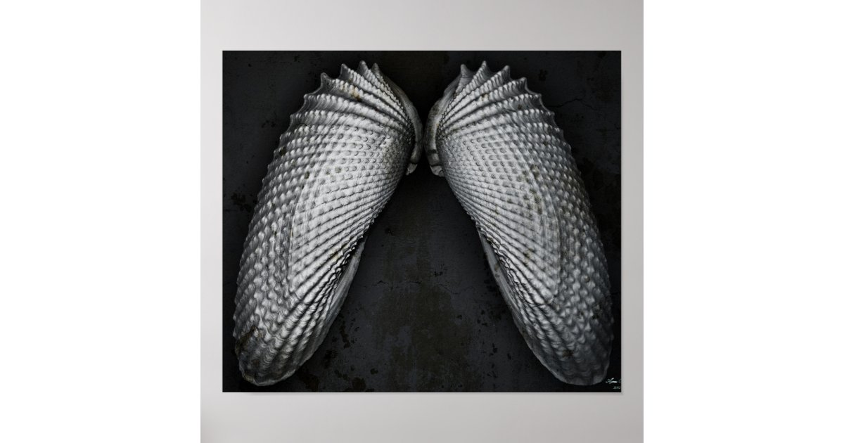 Angel Wings BW Poster | Zazzle