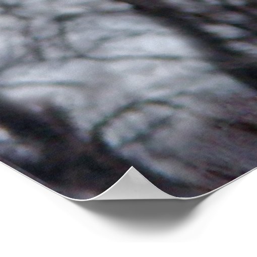 Angelic Crow Poster | Zazzle