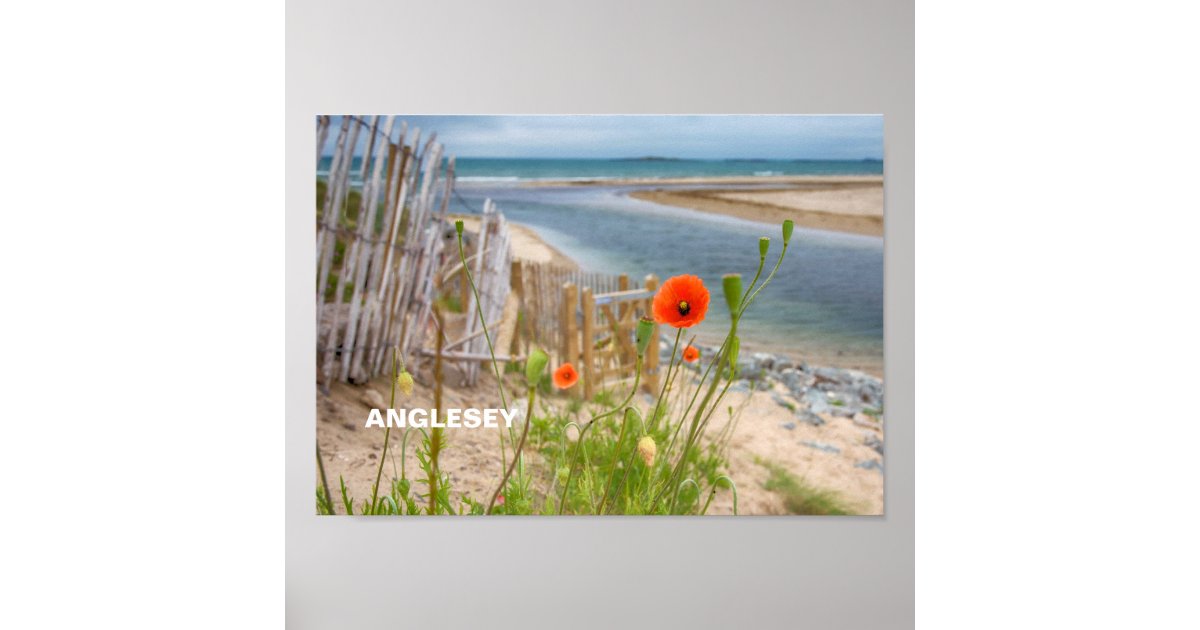 Anglesey Wales Scenic View Beach And Wild Poppies Poster | Zazzle