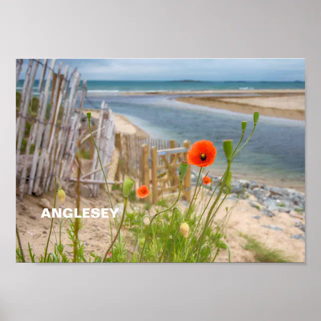 Anglesey Wales Scenic View Beach And Wild Poppies Poster | Zazzle