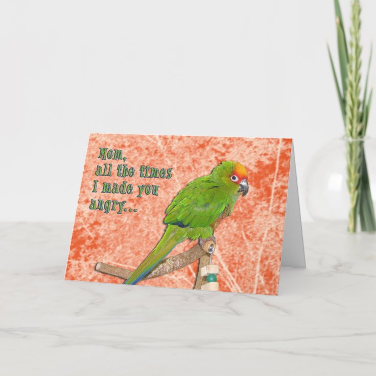 Angry Card | Zazzle