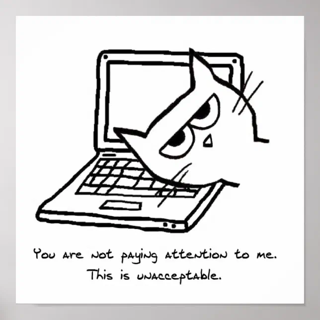 Angry Cat Demands Attention - Funny Cat Poster | Zazzle
