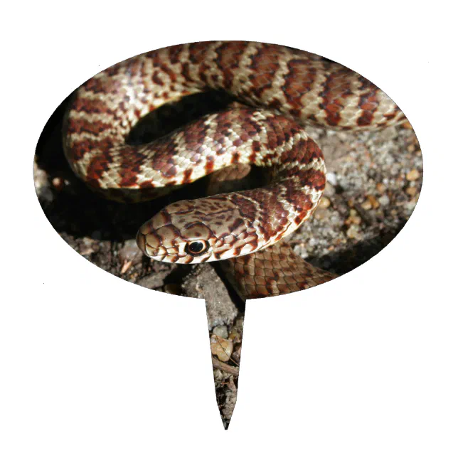 Angry Looking Snake Cake Topper | Zazzle