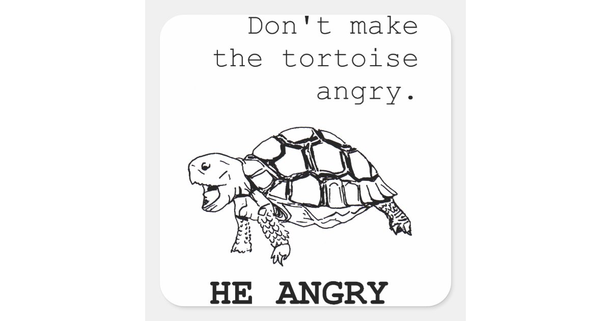 Angry Tortoise Square Sticker | Zazzle