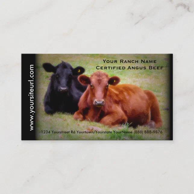 Angus Cattle Photo for Beef Ranch or Farm Business Card | Zazzle
