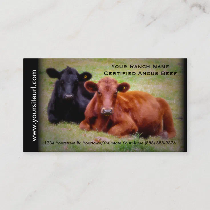 Angus Cattle Photo for Beef Ranch or Farm Business Card | Zazzle