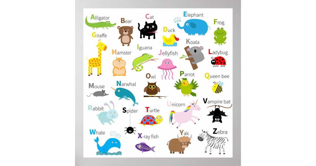Animal Alphabet letters Poster | Zazzle