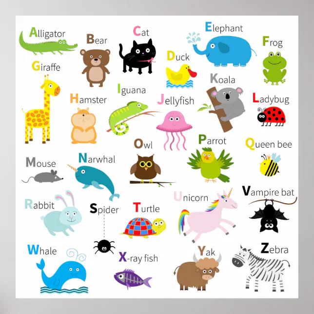 Animal Alphabet letters Poster | Zazzle