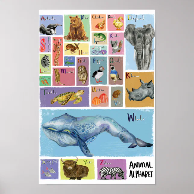Animal Alphabet Poster | Zazzle