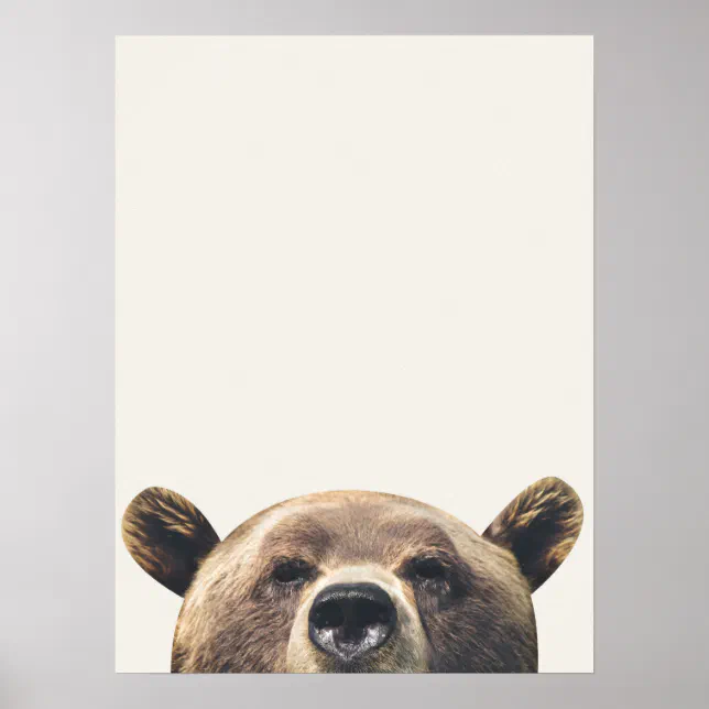 Animal Bear Poster | Zazzle