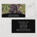 Animal Business Card | Zazzle