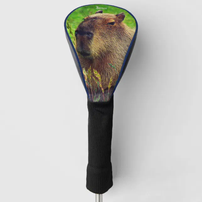 Animal Capybara Driver Cover | Zazzle