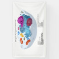 Animal Cell Diagram labeled Banner | Zazzle