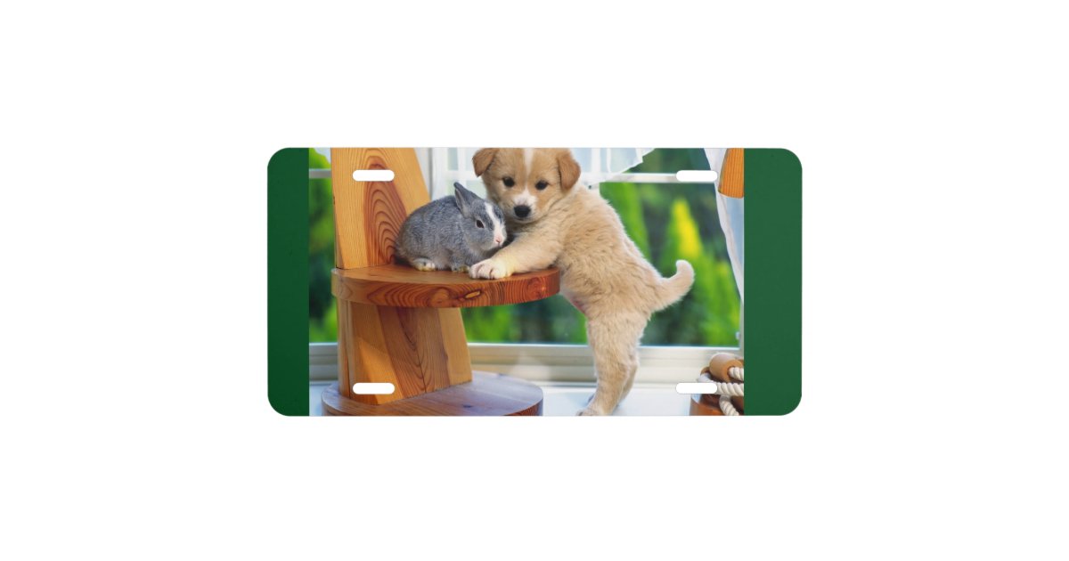 Animal Friends License Plate | Zazzle