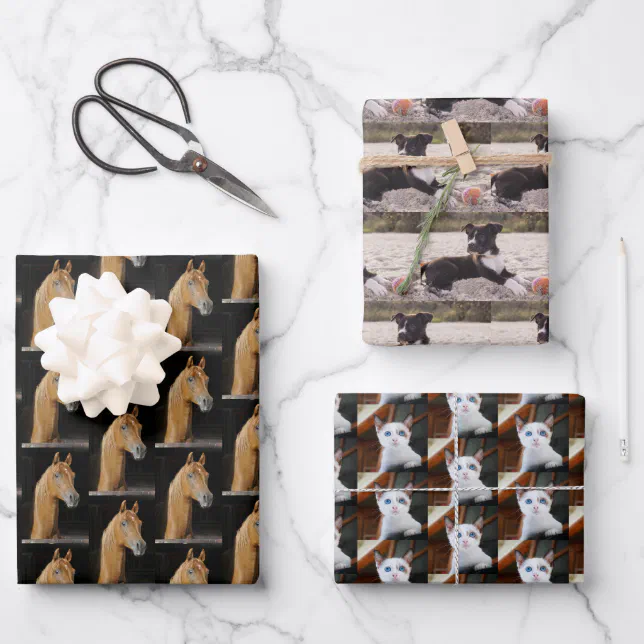 Animal Lover Pet Photos Wrapping Paper Sheets | Zazzle