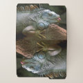 Animal Photos file folder set | Zazzle
