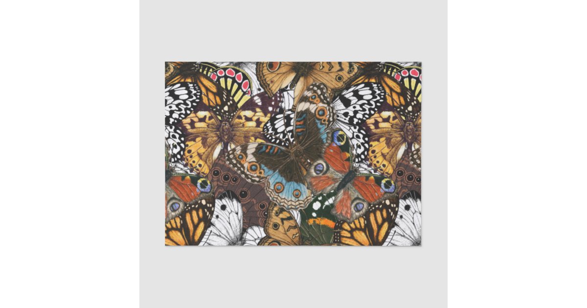 Animal print. Butterfly wings. Tissue Paper | Zazzle