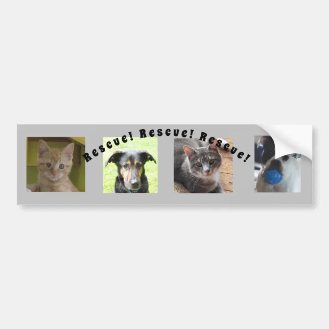 Animal Rescue Bumper Sticker | Zazzle