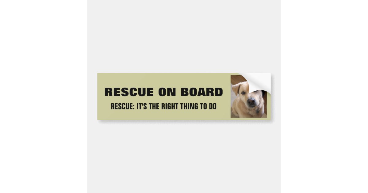 ANIMAL RESCUE BUMPER STICKER | Zazzle