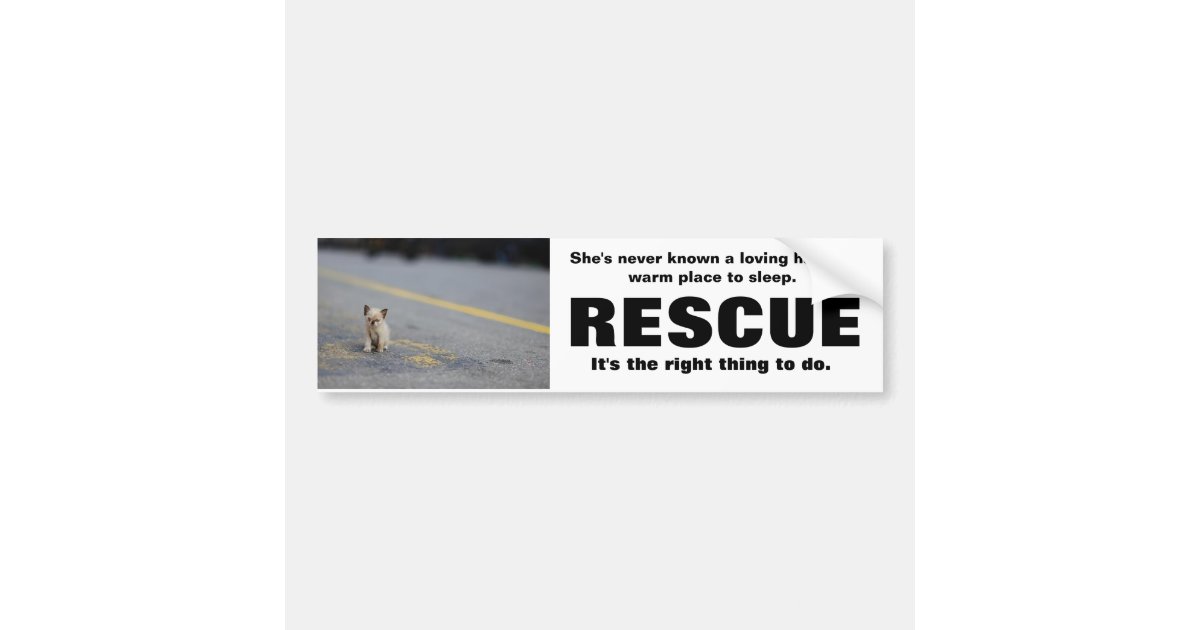 ANIMAL RESCUE BUMPERSTICKER BUMPER STICKER | Zazzle