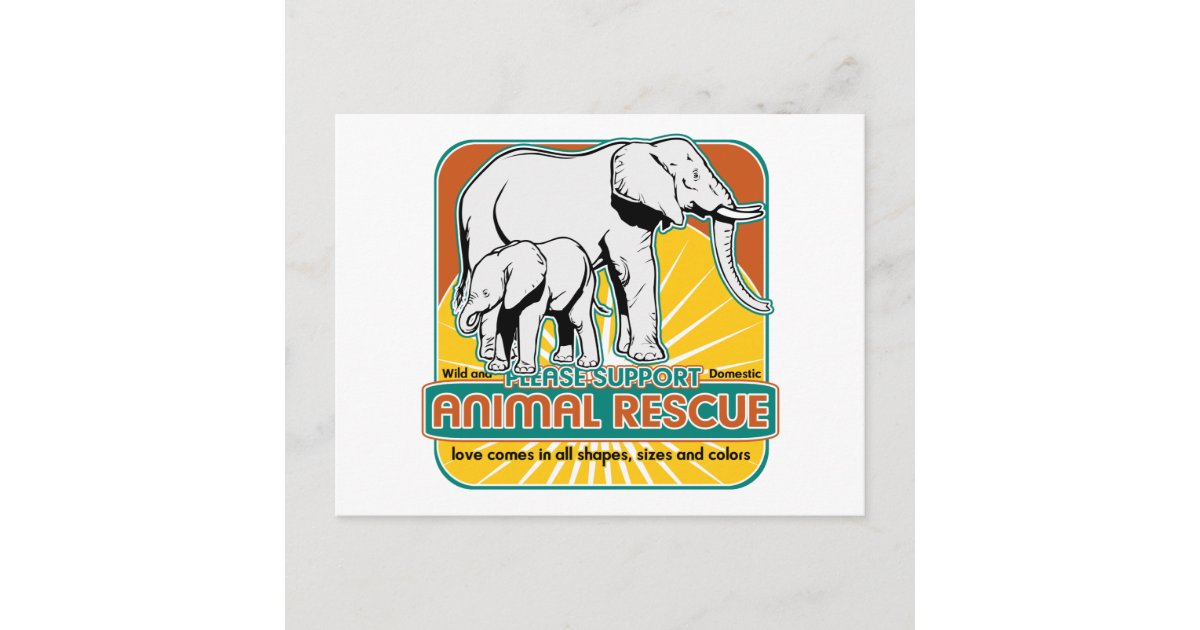 Animal Rescue Elephants Postcard | Zazzle